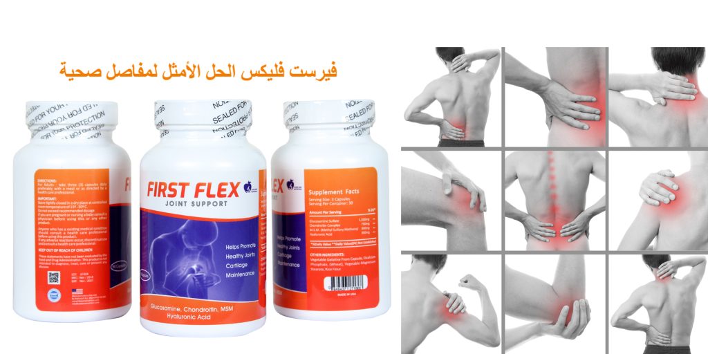 FIRST FLEX Glucosamine , Chondroitin, MSM and Hyaluronic Acid 90 ...